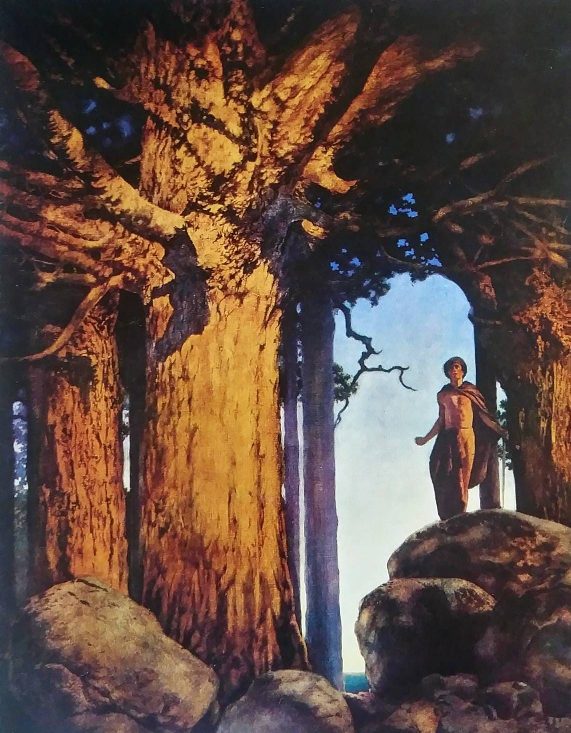 Maxfield Parrish Vintage Print Jason and the Oak - Etsy