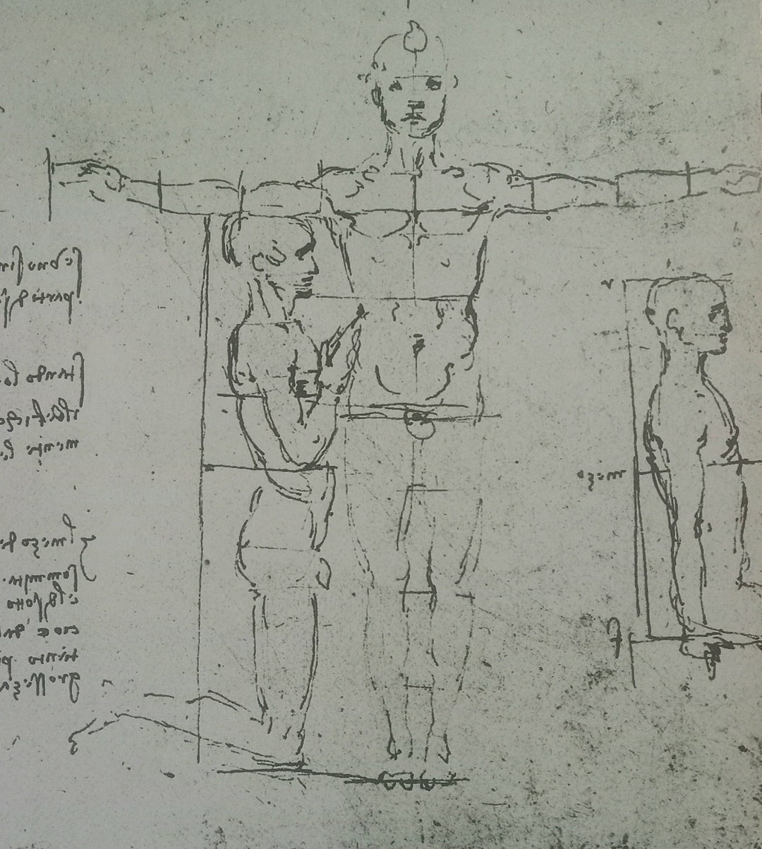 Michelangelo Anatomical Drawing/sketch Print - Etsy