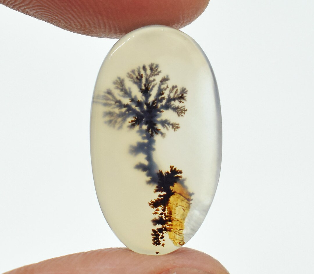 Natural Dendritic Agate Gemstone, Gorgeous Dendrite Agate Stone, Tree ...