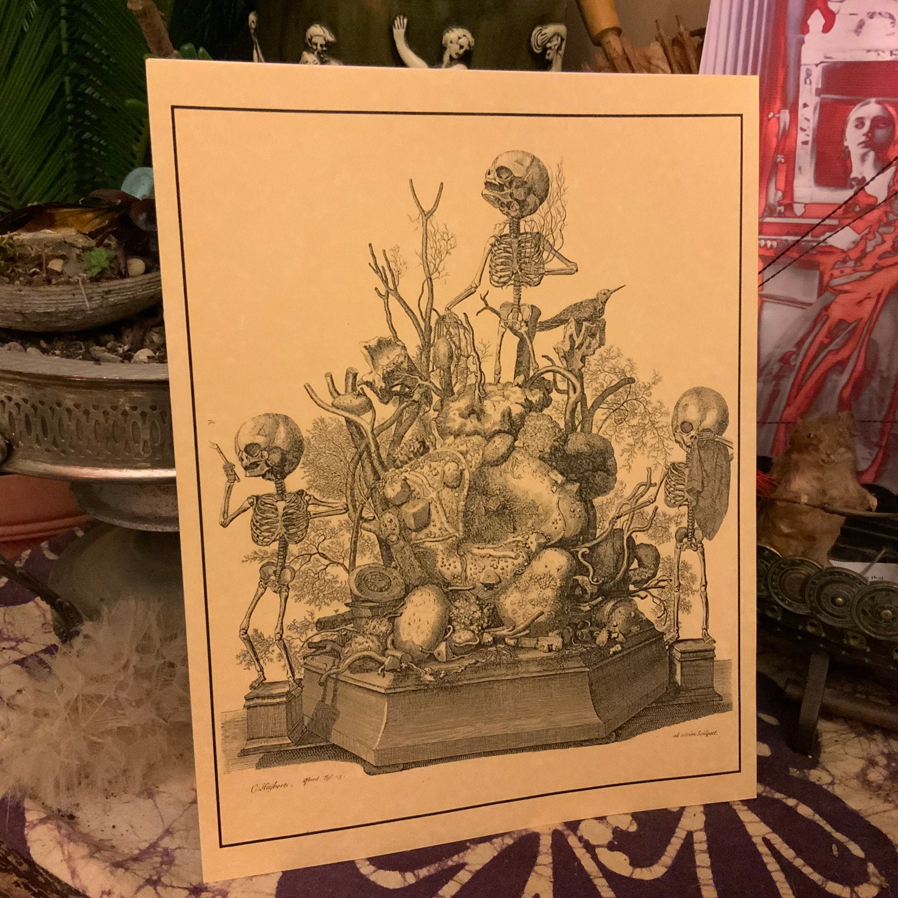 Frederik Ruysch Collection Fine Art Prints/posters Anatomy - Etsy