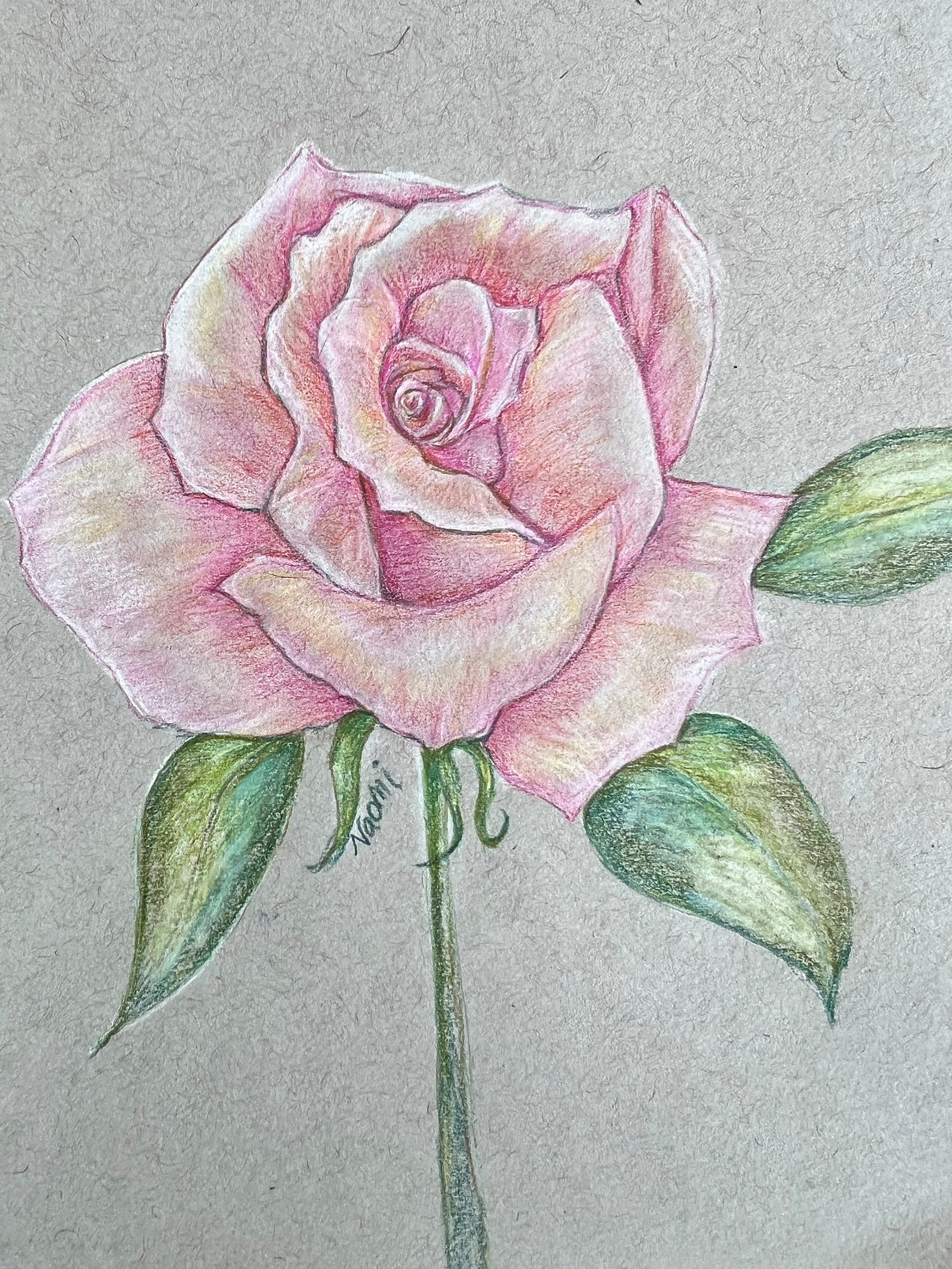 Pink Rose Colored Pencil Drawing, Whimsical, Romantic, Decor, Hopeful ...