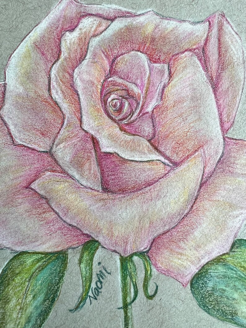 Pink Rose Colored Pencil Drawing, Whimsical, Romantic, Decor, Hopeful ...
