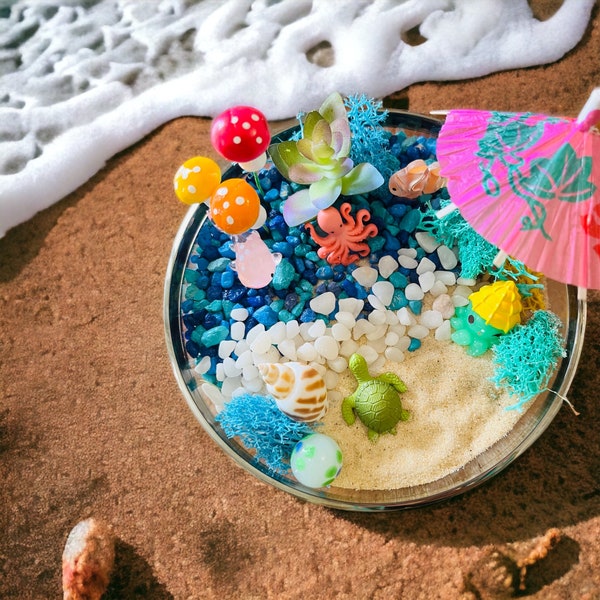 Beach Terrarium Kit - Etsy