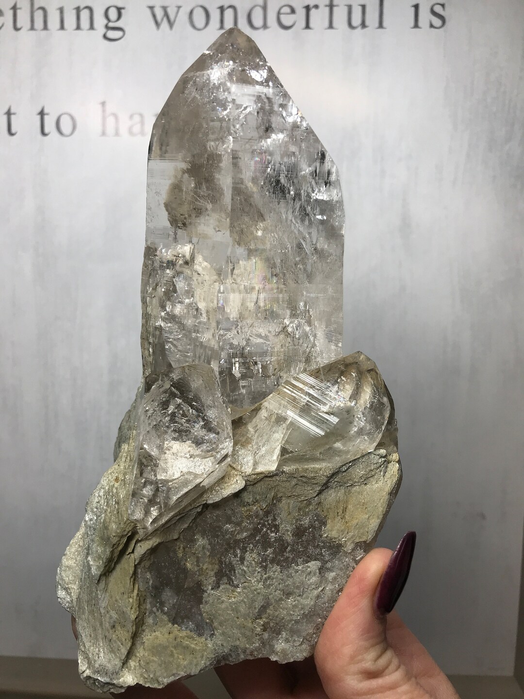 Massive High Elevation Quartz Point - Etsy