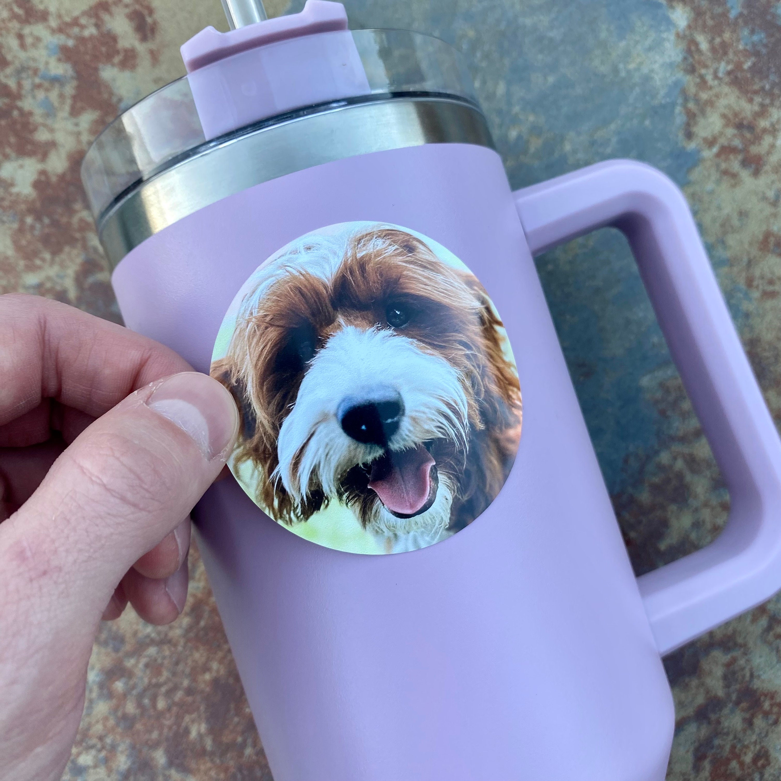 Full Color Stickers No Minimum / Your Logo or Artwork / Sticks to Glass ...