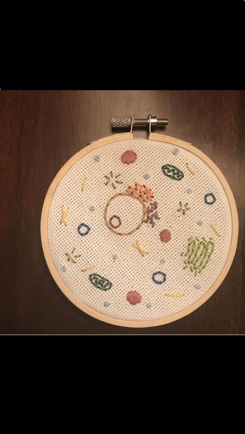 Human Cell // Science // Biology // Teacher // Embroidery // Wall Art ...