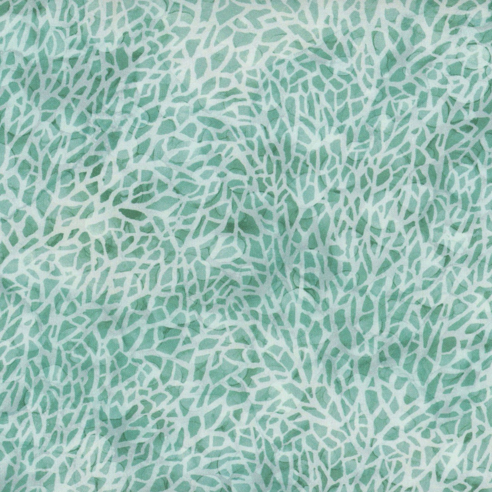 Sea Breeze Coral Blender Texture in Seafoam Green by Deborah Edwards ...