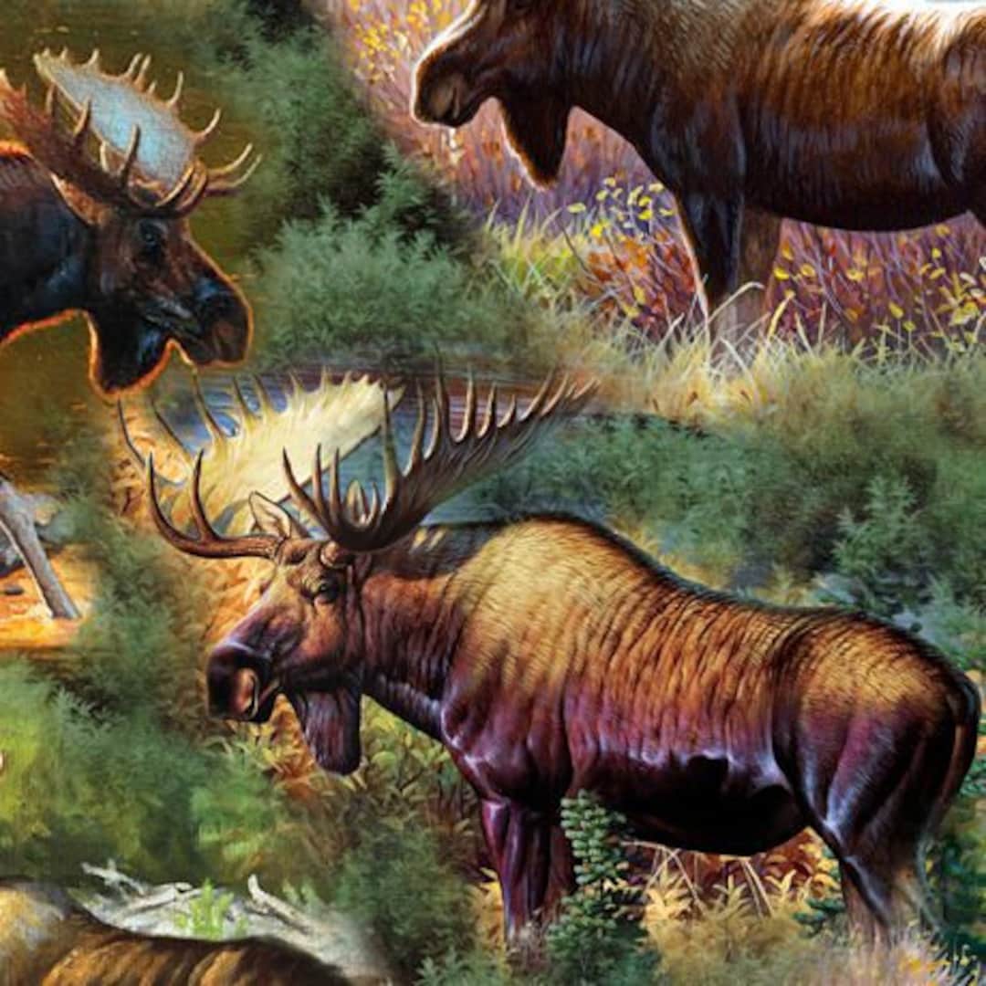 Magnificent Moose Scenic in Green by Cynthie Fisher for QT Fabrics 44 ...