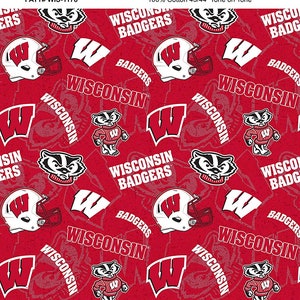 Wisconsin Badger - Etsy