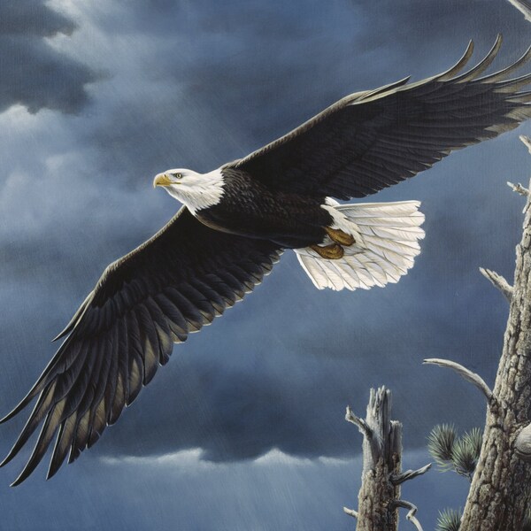 Eagle Fabric Panels - Etsy