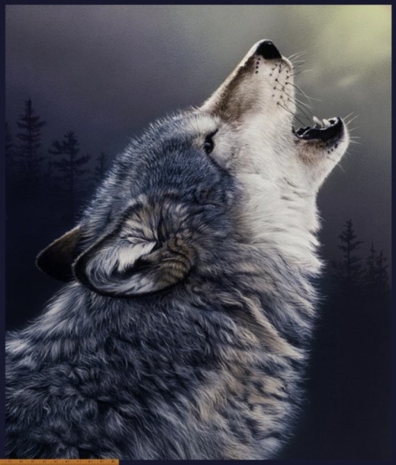 Baby Wolves Howling At Night