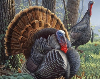 Wild Turkey Print - Etsy