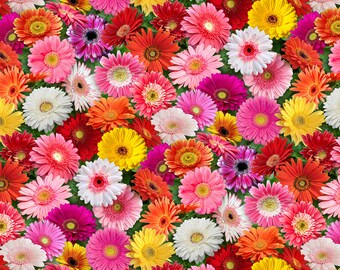 Tulips Multi Colored Burst of Color by Elizabeth's Studio 44 Inches ...