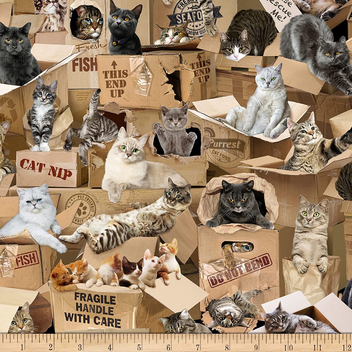 Cats Realistic Cats in Boxes Purr-fect Hangout by Timeless - Etsy