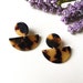 31mm Half Circle Disc Dangle Tortoise Shell Earrings Tortoise Shell ...
