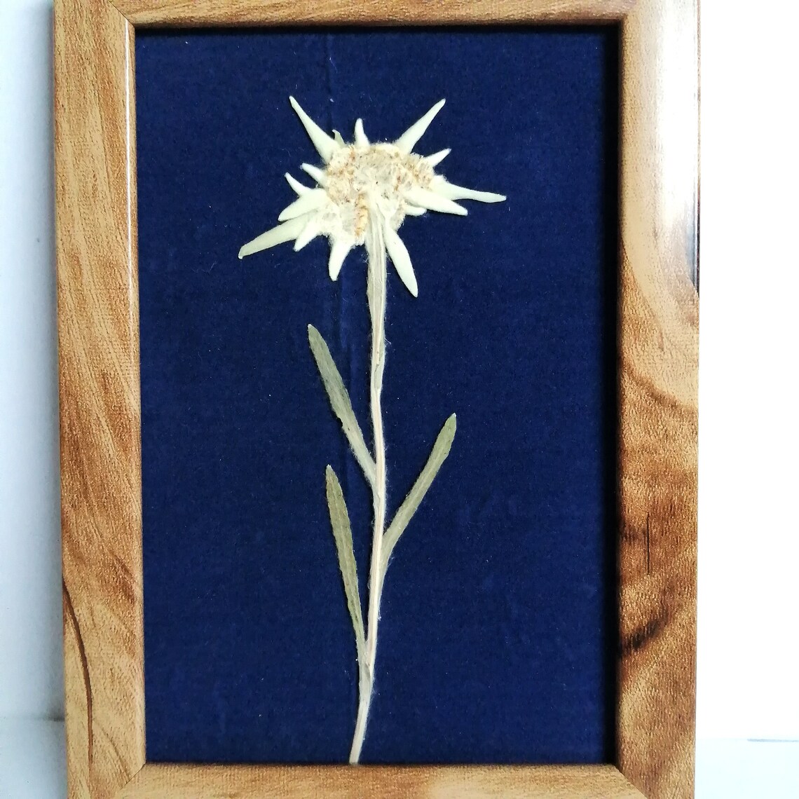 Edelweiss Flower Wall Decor Farmhouse Decor Flower Decor | Etsy