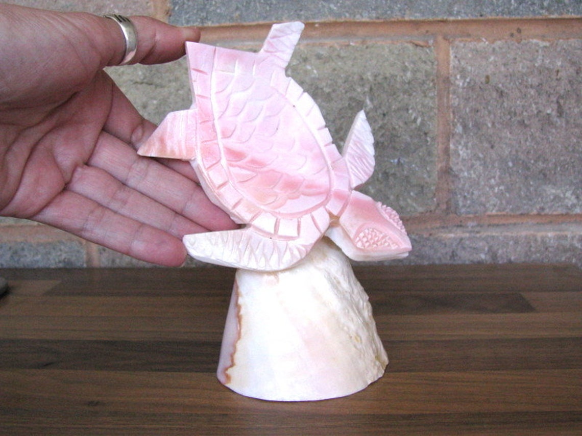 Sea turtle hand carved sculpture Sea shell carved turtle | Etsy