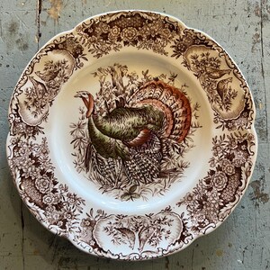 Made in England / Vintage Johnson Brothers / WILD TURKEYS BROWN native ...