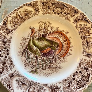 Made in England / Vintage Johnson Brothers / WILD TURKEYS BROWN native ...