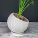 Sphere Geometric Planter Pot, Succulent Houseplant Pot, Indoor ...
