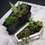Coffin Mini Planter & Stand, Goth Succulent Planter Decor, Indoor ...