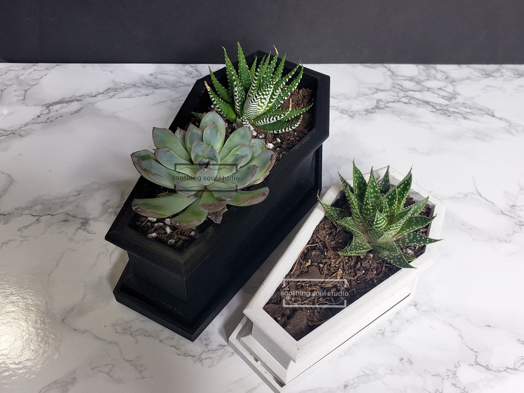 Coffin Mini Planter & Saucer, Goth Succulent Planter Decor, Indoor ...