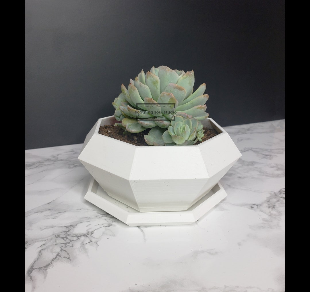 Custom Color Geometric Planter, Modern Succulent Pot, Indoor Flowerpot ...