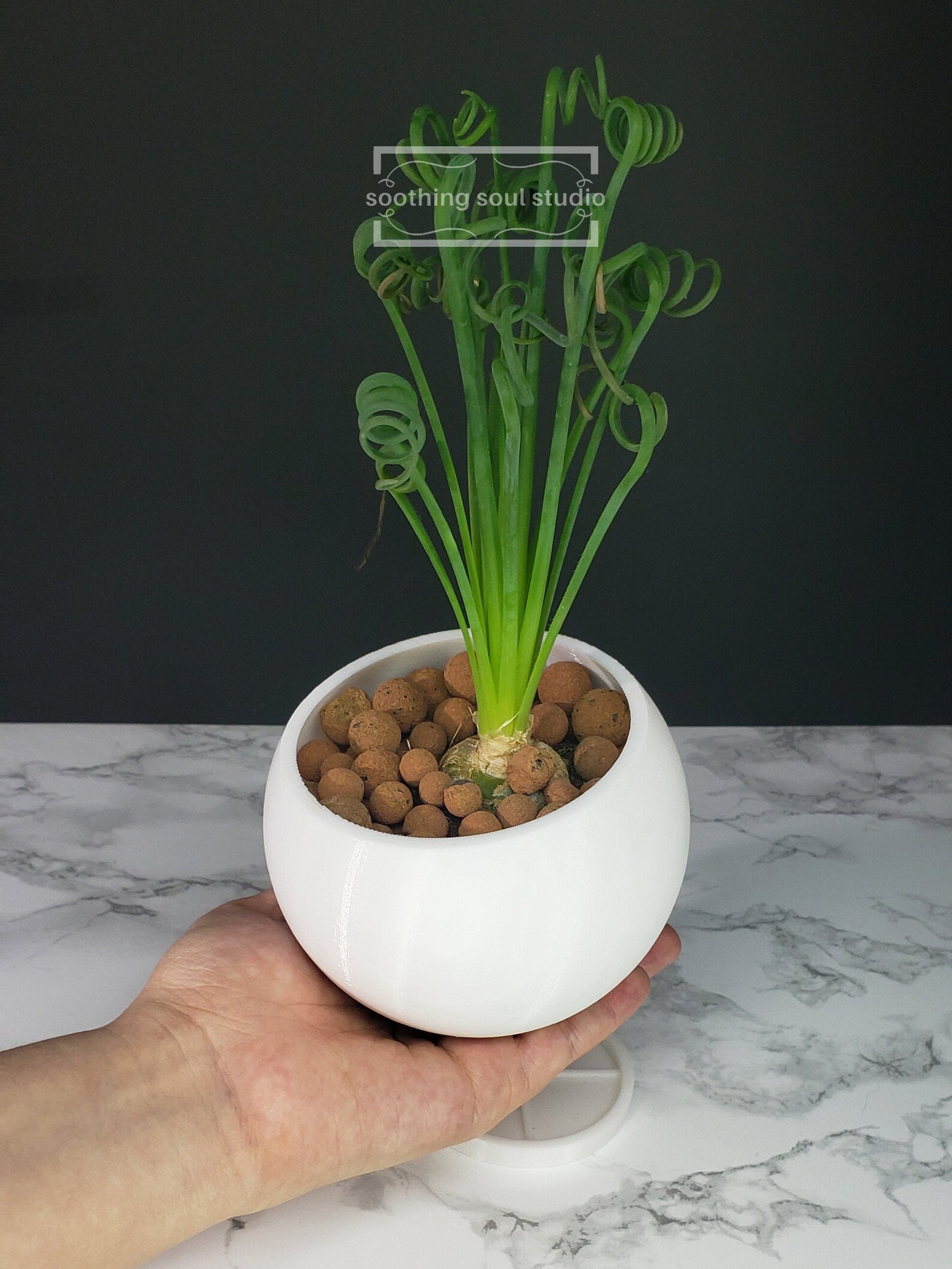 Sphere Geometric Planter Pot Succulent Houseplant Pot Indoor - Etsy