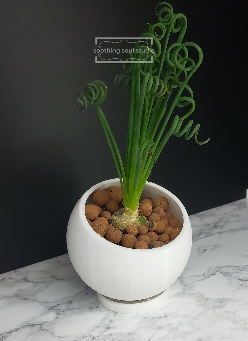 Sphere Geometric Planter Pot Succulent Houseplant Pot | Etsy