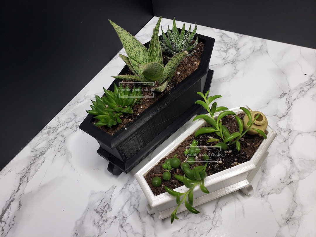 Coffin Mini Planter & Stand, Goth Succulent Planter Decor, Indoor ...