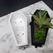 Coffin Mini Planter & Stand, Goth Succulent Planter Decor, Indoor ...