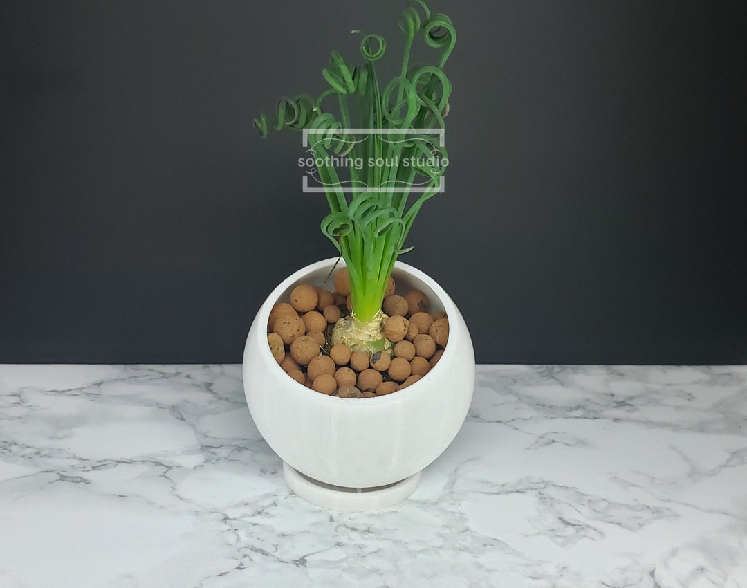 Sphere Geometric Planter Pot, Succulent Houseplant Pot, Indoor ...