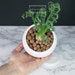 Sphere Geometric Planter Pot Succulent Houseplant Pot Indoor - Etsy