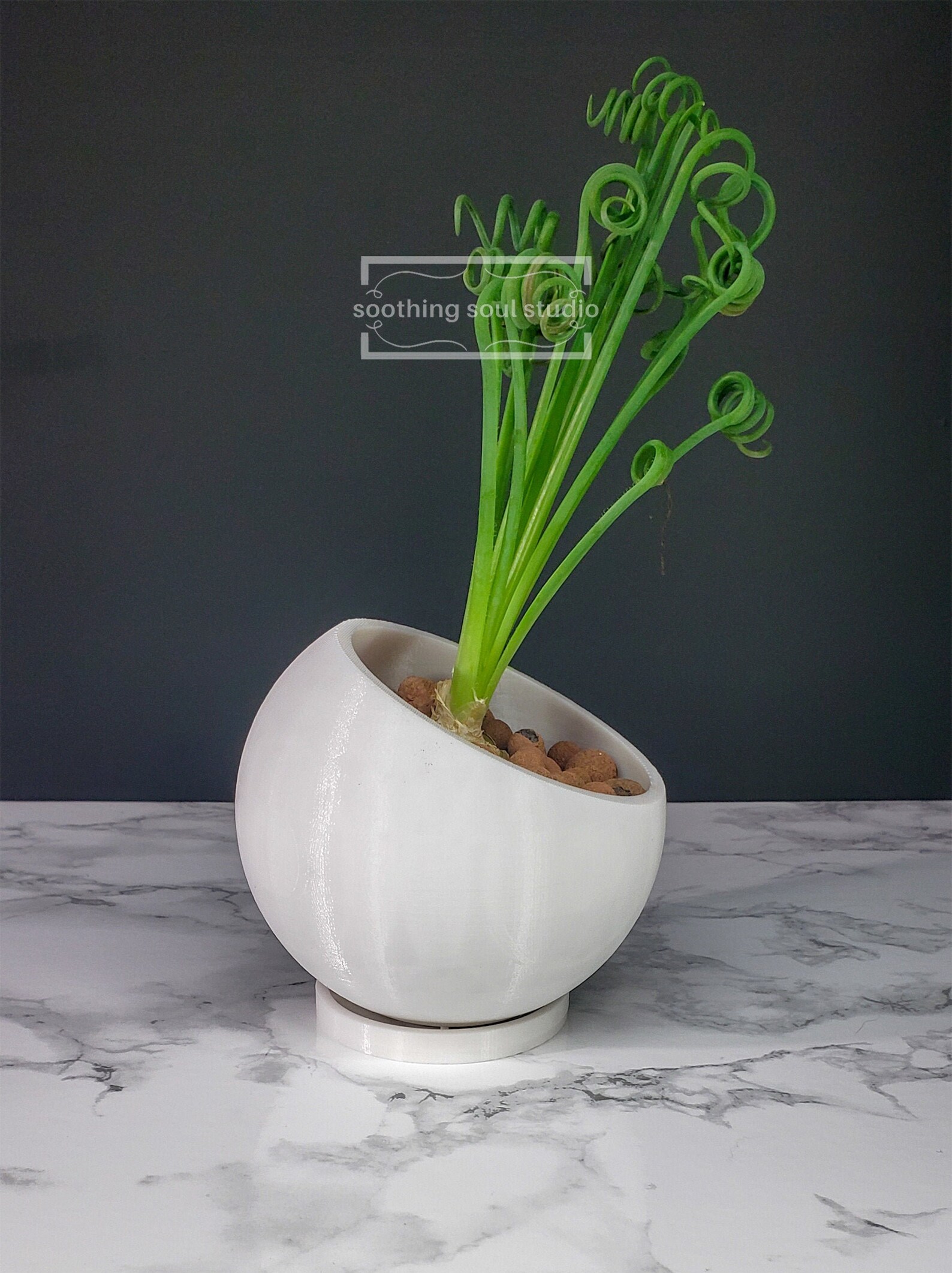 Sphere Geometric Planter Pot Succulent Houseplant Pot Indoor | Etsy