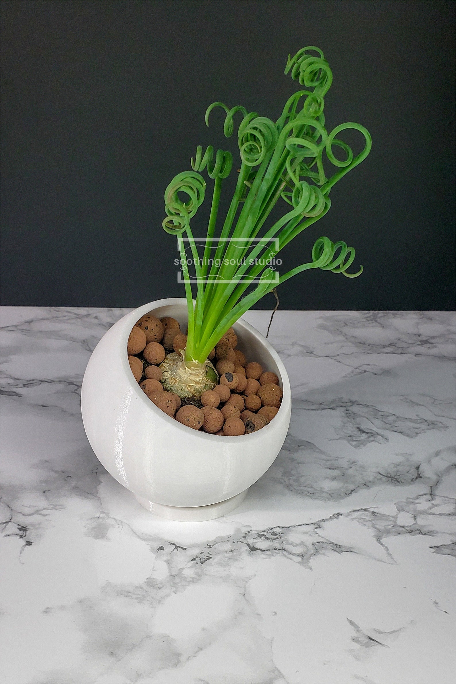 Sphere Geometric Planter Pot Succulent Houseplant Pot Indoor - Etsy