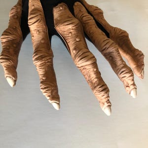 Long Finger Evil Witch Hands Flesh Claws Adult Halloween Costume ...