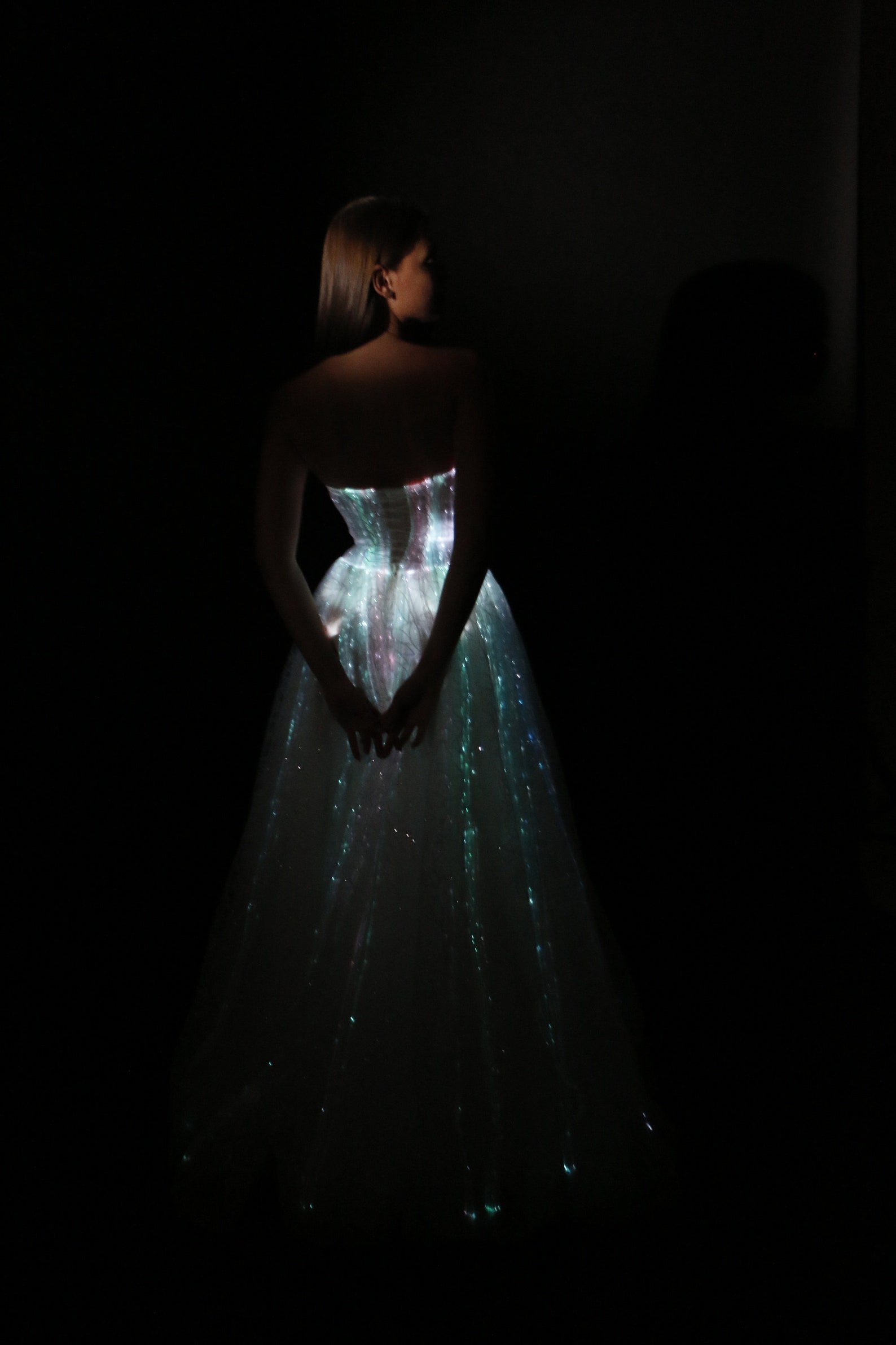 Led Wedding Dress , Luminous Dress, Wedding Dress, Bridal Gowns, Beach ...