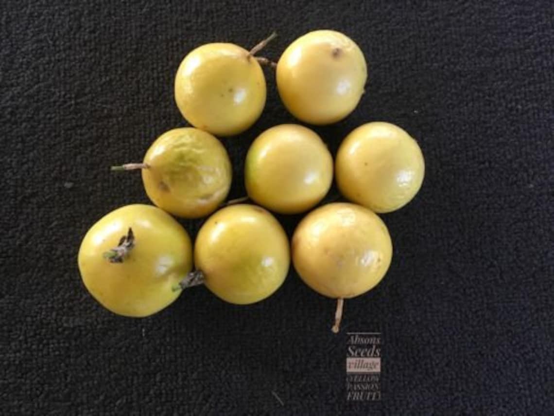 Golden Lilikoi Yellow Passion Fruit Seeds Passiflora Etsy