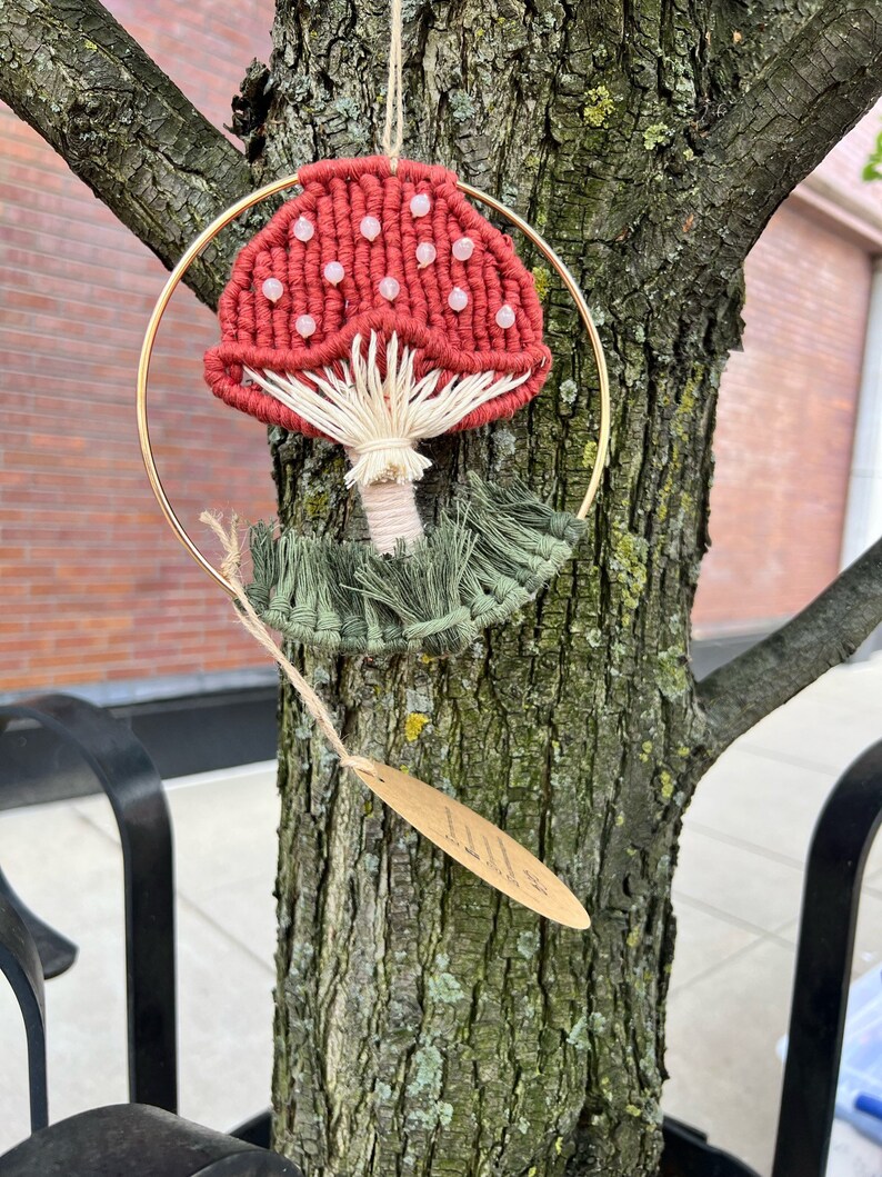 Macrame Mushroom "fun-guy" - Etsy