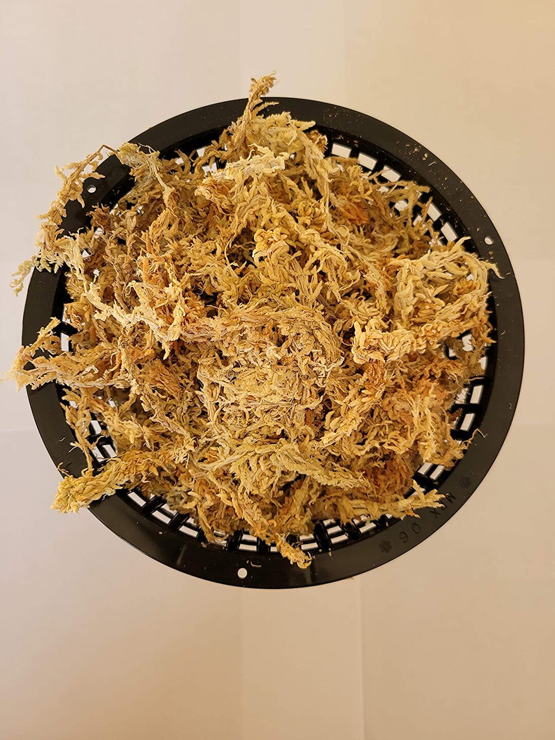 One 6 Inch Net Pot With New Zealand Sphagnum Moss - Etsy