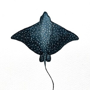 Whitespotted Eagle Ray Watercolor PRINT - Etsy
