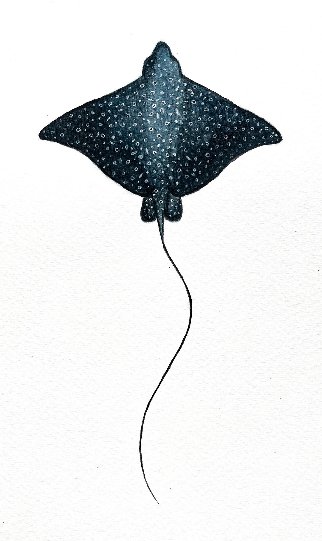 Whitespotted Eagle Ray Watercolor PRINT - Etsy
