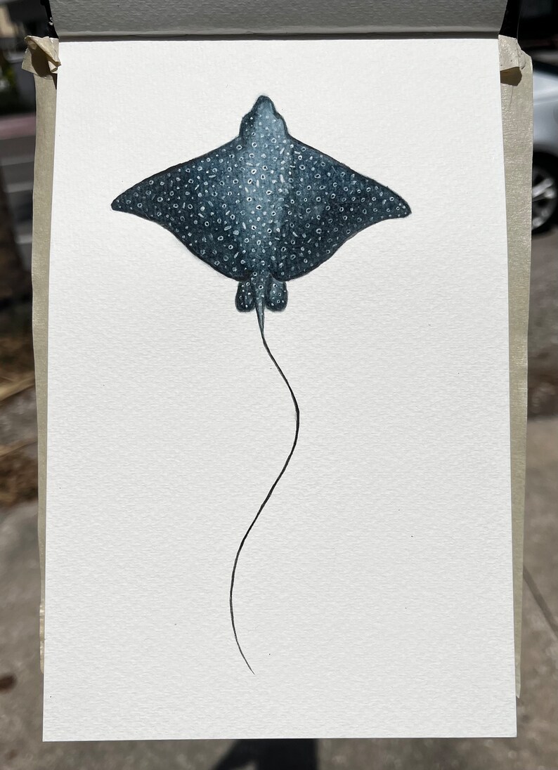 Whitespotted Eagle Ray Watercolor PRINT - Etsy