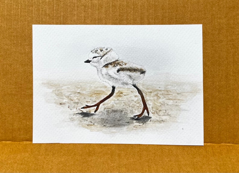 Baby Plover Watercolor PRINT - Etsy