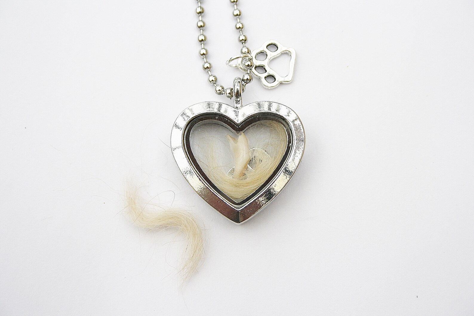 Puppy Tooth Pet Hair Locket Locket Necklace Keepsake Remembrance Pet ...