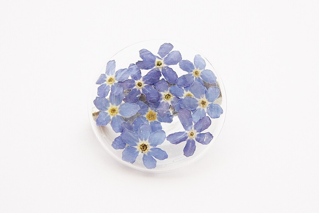 Real Blue Forget-me-not Button Pin, Gift for Women and Men, Individual ...