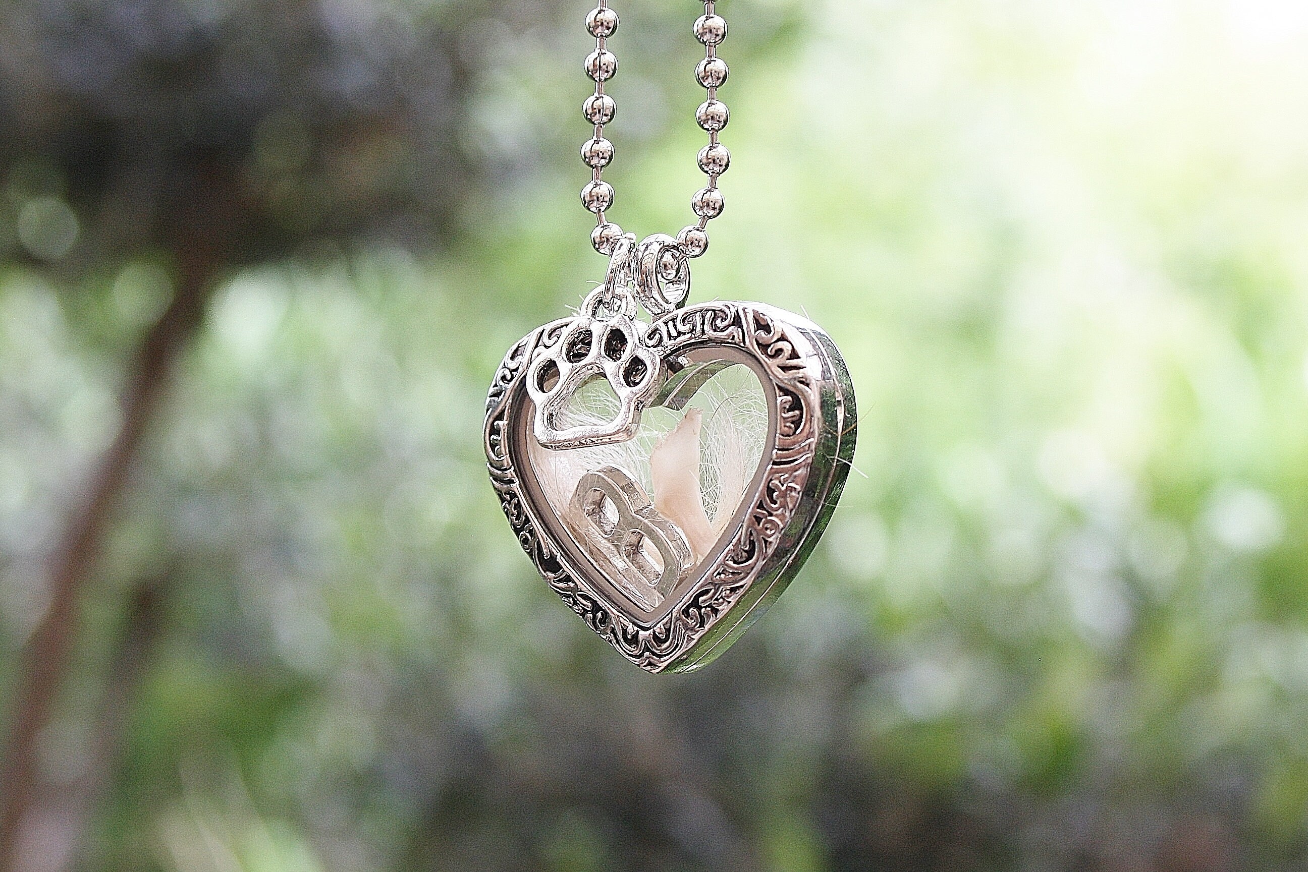 Puppy Tooth Animal Hair Locket Locket Locket Necklace Keepsake | Etsy