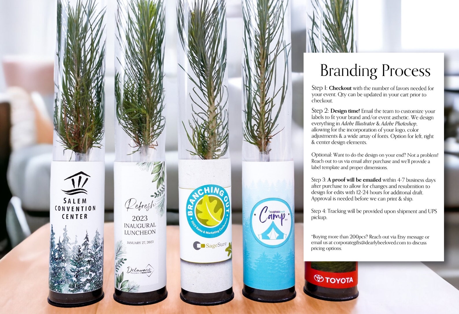 Gift Tree Favor | Pine Seedling | Seedling Gift | Corporate Gift Tree ...
