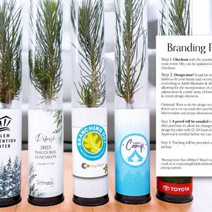 Gift Tree Favor | Pine Seedling | Seedling Gift | Corporate Gift Tree ...