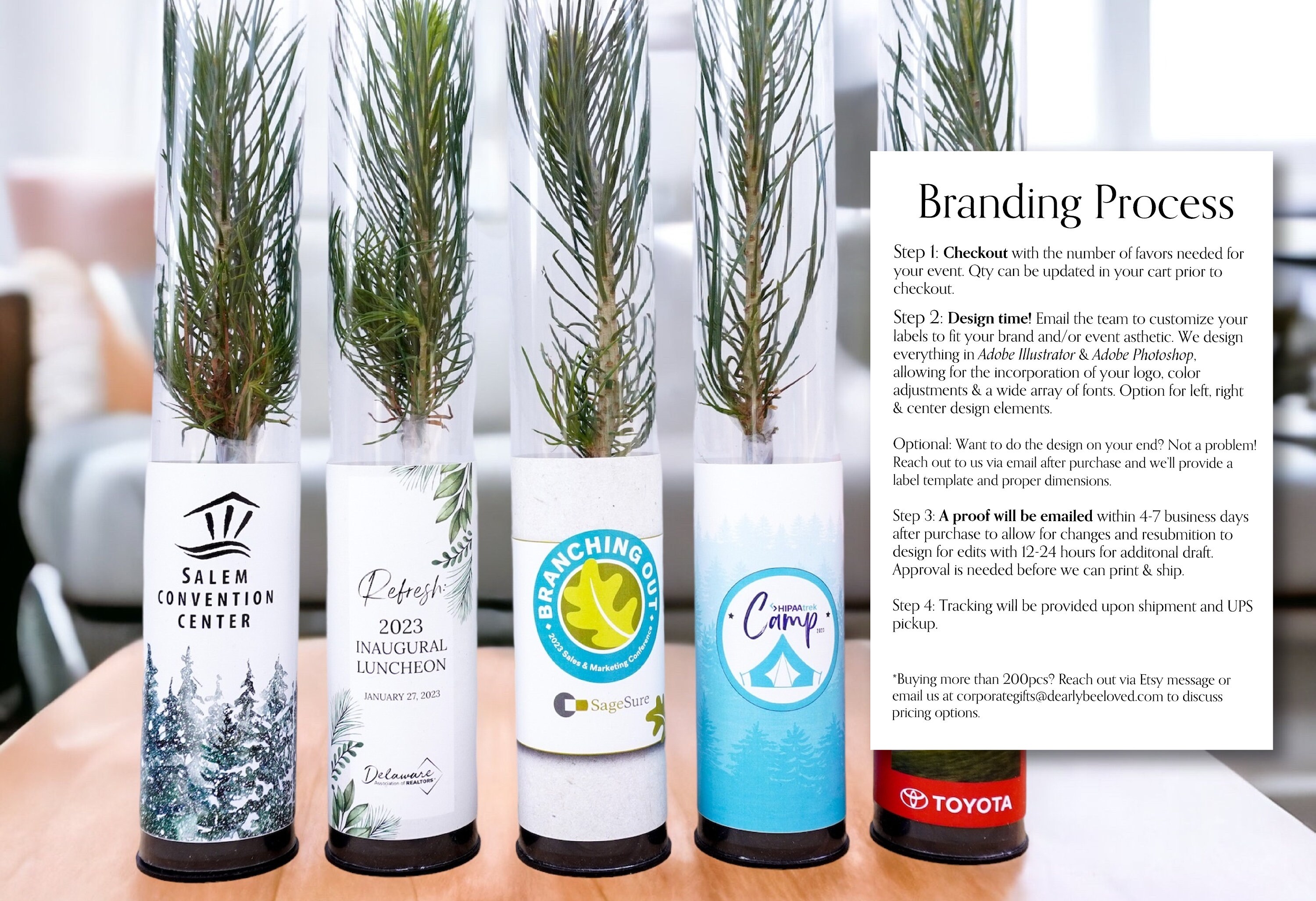 Gift Tree Favor | Pine Seedling | Seedling Gift | Corporate Gift Tree ...